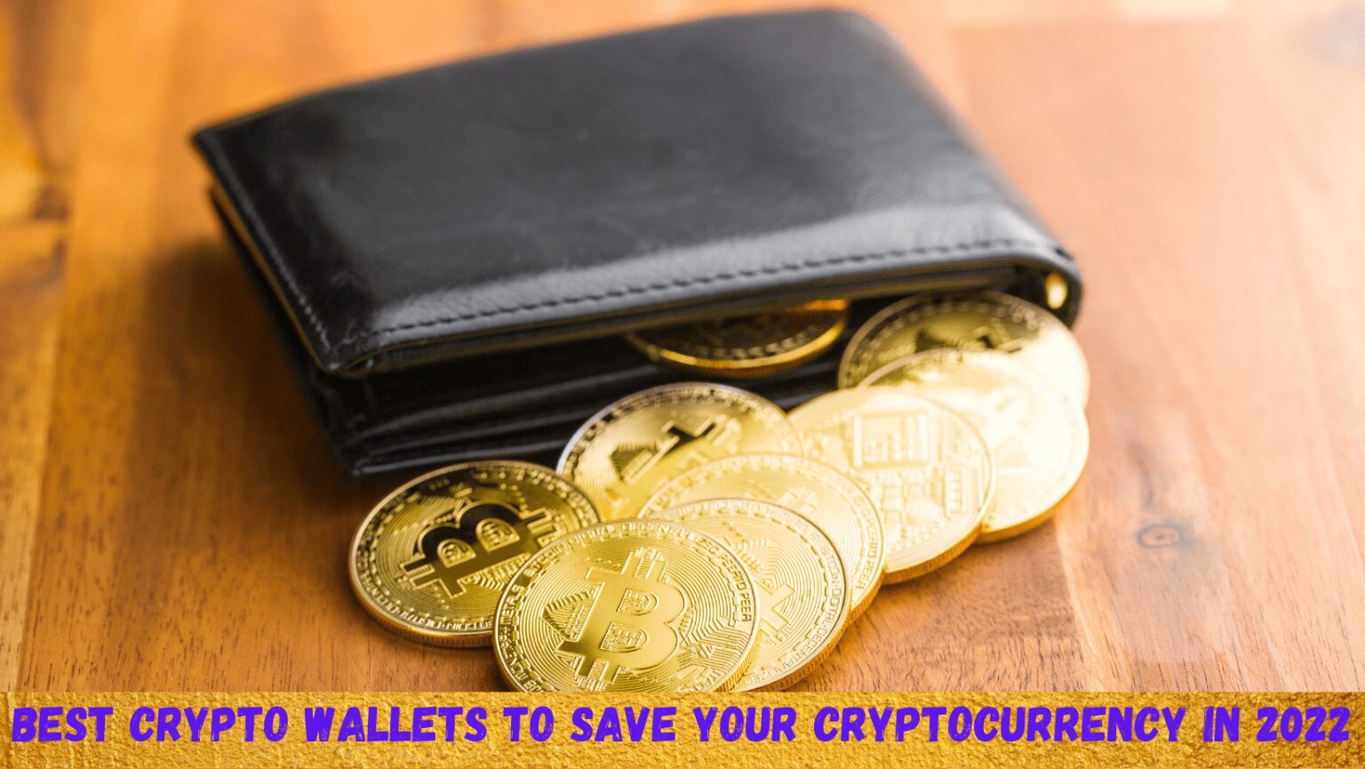 Best Cryptocurrency Wallets Types List | Coinexpansion